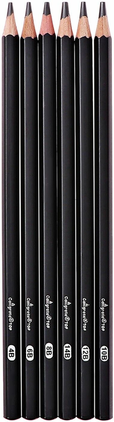 Карандаши чёрнографитные, набор из 6 штук (14В, 12В, 10В, 8В, 6В, 4В), заточенные деревянные, корпус шестигранный