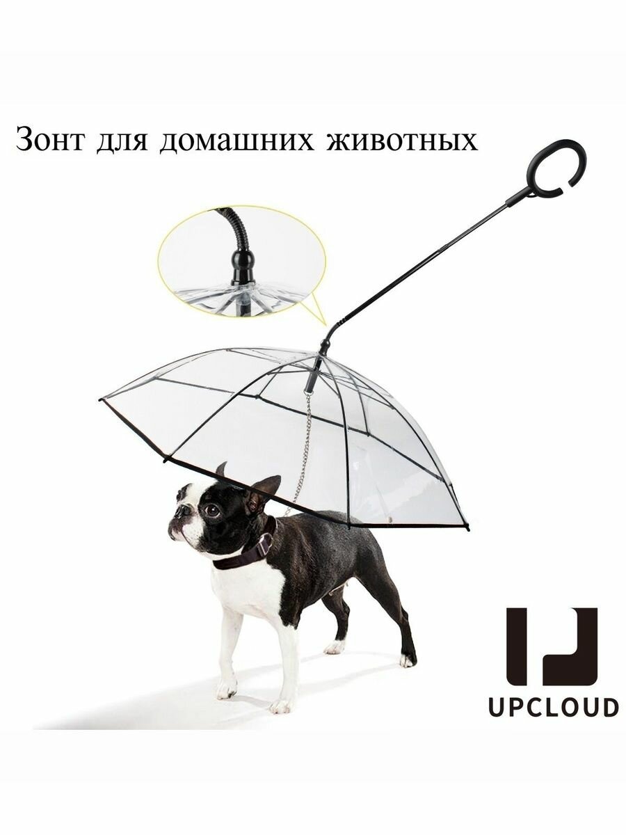 Зонтик для собак