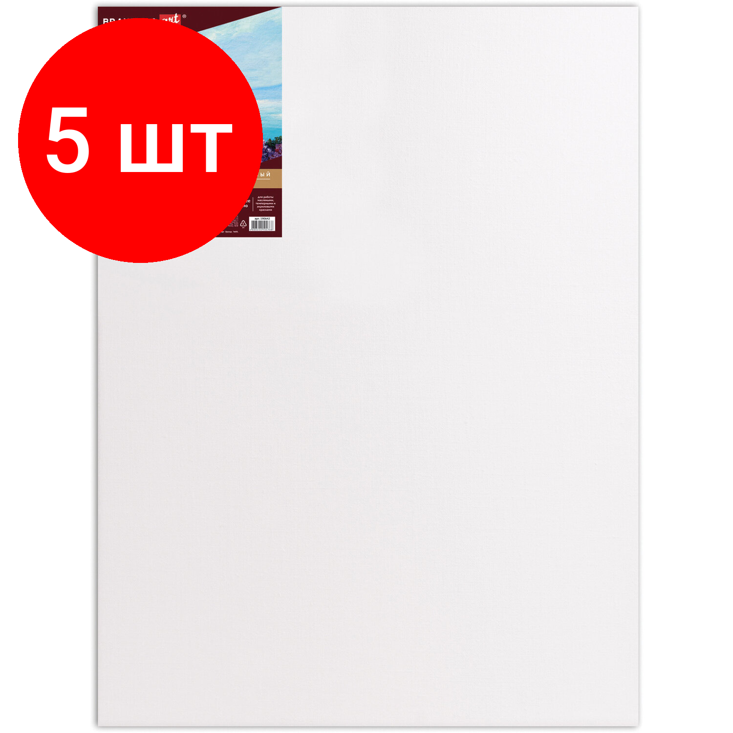 Комплект 5 шт, Холст на подрамнике BRAUBERG ART PREMIERE, 60х80см, грунтованный, 100% лен, среднее зерно, 190642