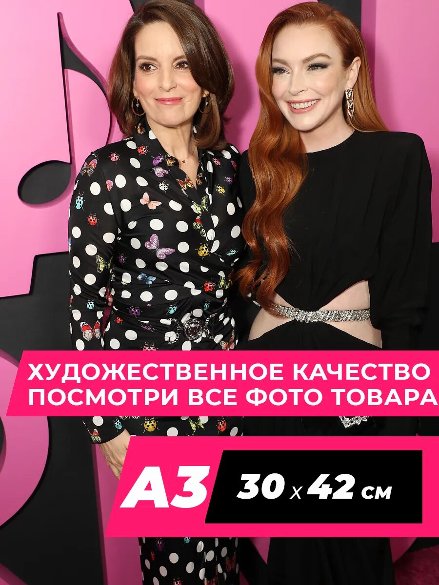 Плакат дрянные девчонки на стену Mean Girls 5 A3
