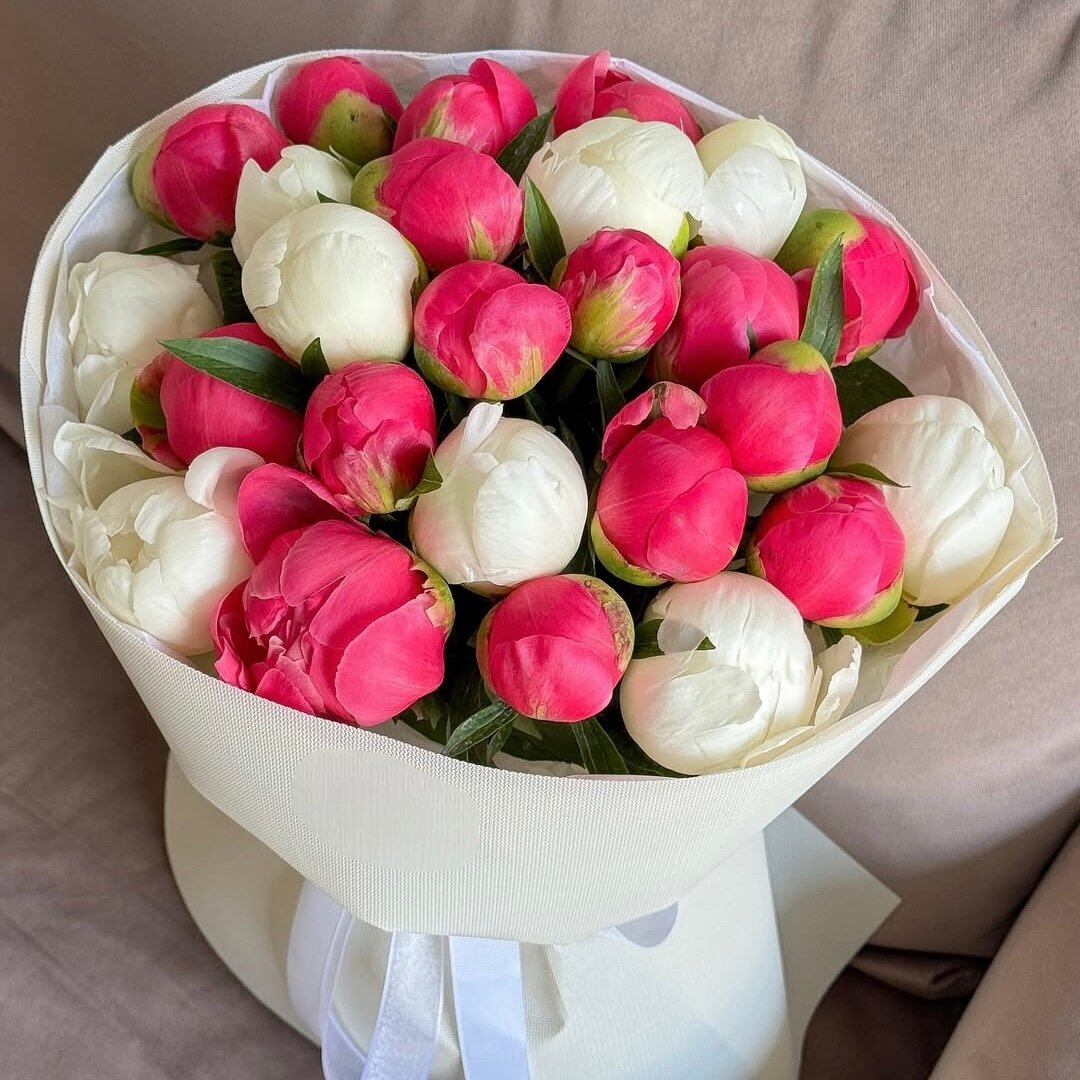 Букет из белых и коралловых пионов 27 шт, красивый букет цветов, шикарный, премиум цветы, премиум букет