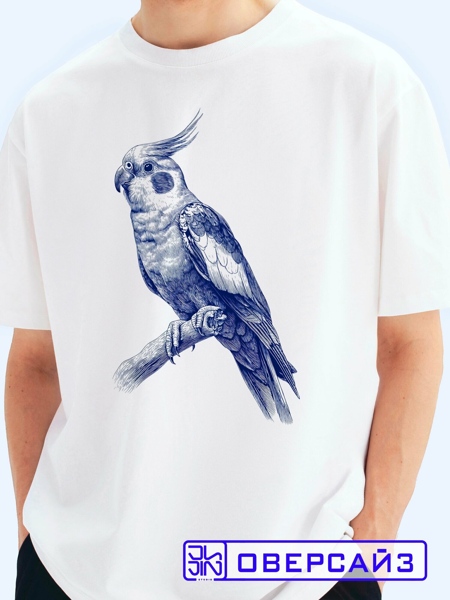 Футболка оверсайз мужская с принтом Винтажный белый принт с синим попугаем на ветке в стиле ретро природы, белый хлопковый трикотаж с прикольным рисунком на груди