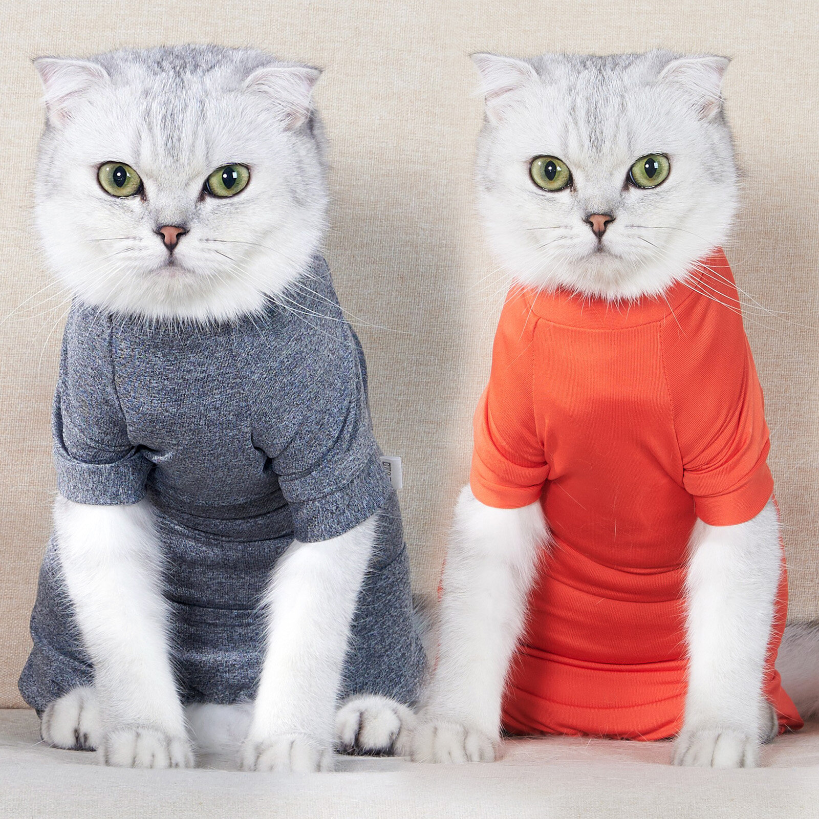 Комбинезон для восстановления кошек, куртка для лечения брюшной полости на четырех ногах, легко носить, регулируемые ремни на липучке, мягкий дышащий материал для поддержки после операции