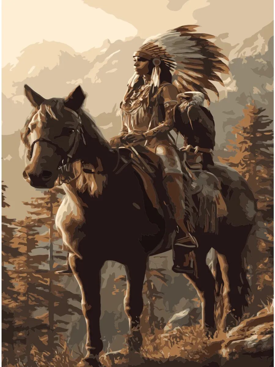 Картина по номерам 30x40 см индеец