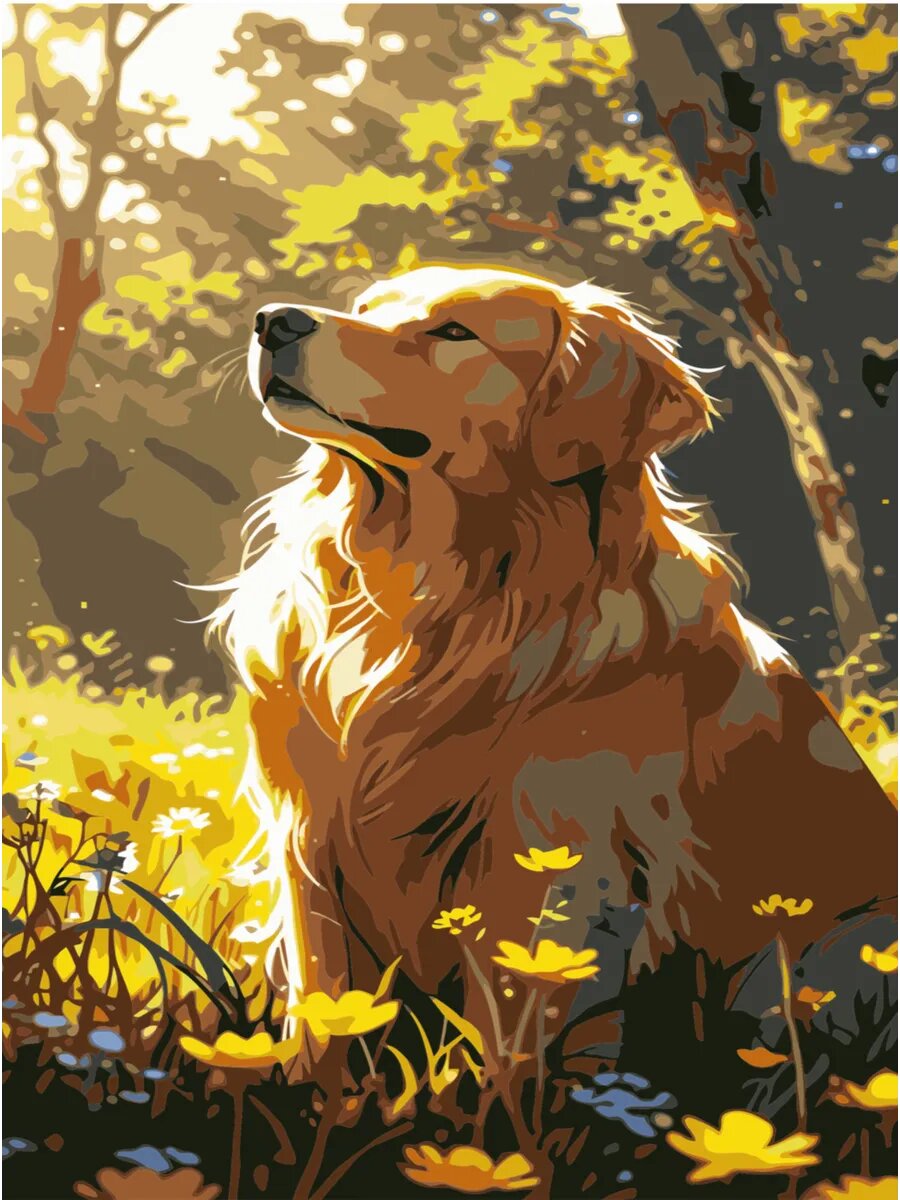 Картина по номерам лабрадор