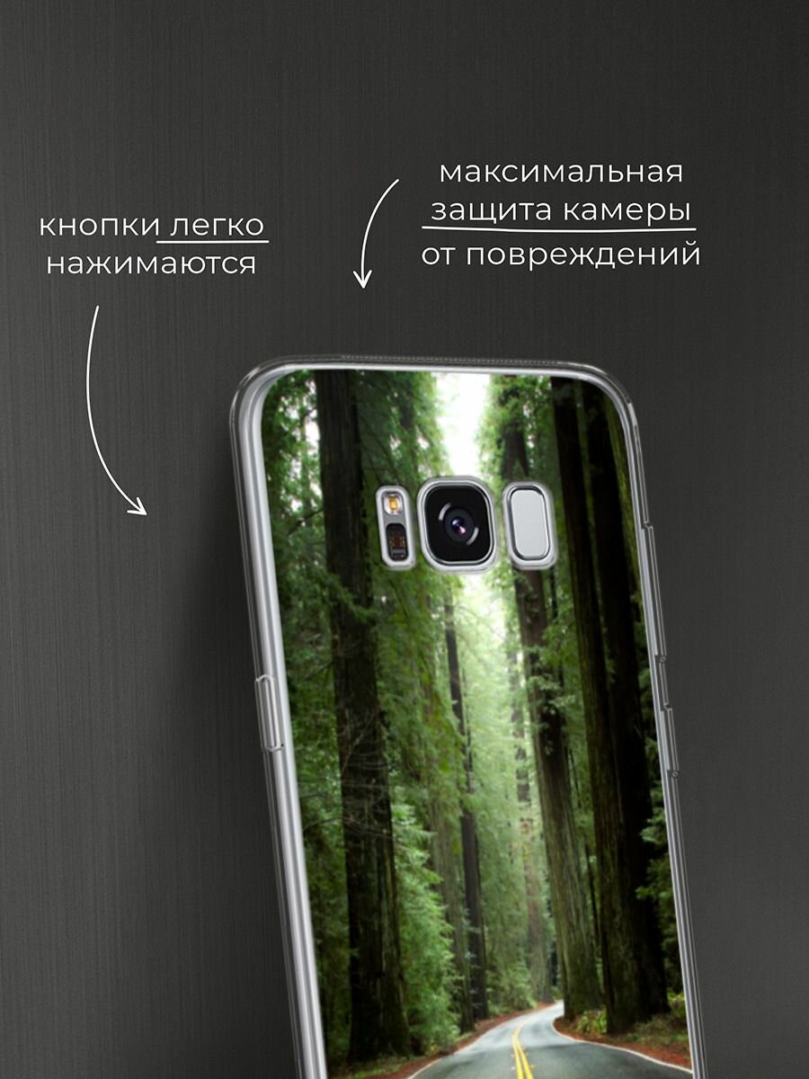 Чехол на Samsung Galaxy S8 / Самсунг Галакси С8 с принтом "Лес 17" — фото 1