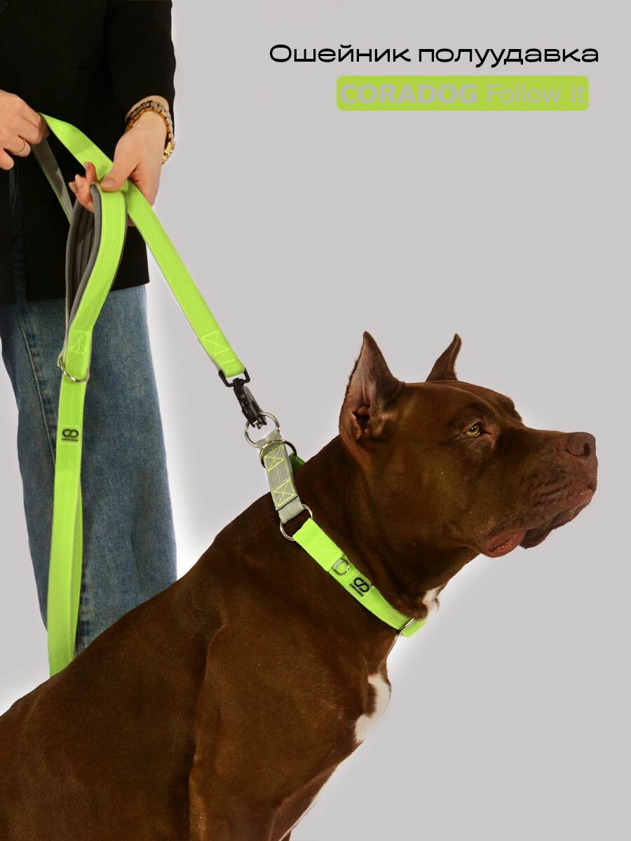 Ошейник-полуудавка, мартингейл, CORADOG Follow it для средних и крупных собак, цвет серый, салатовый, размер L 42-65 см, ширина 2,5 см