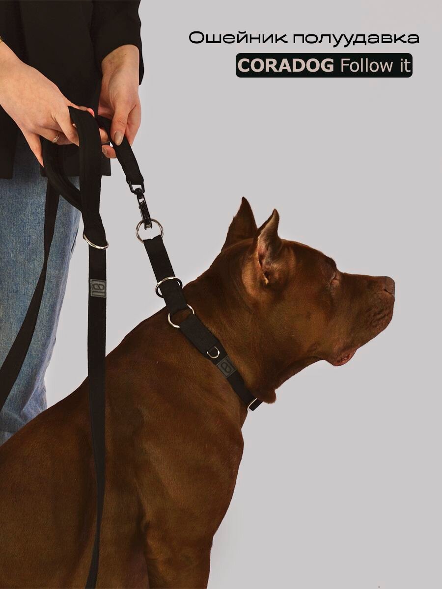 Ошейник-полуудавка, мартингейл, CORADOG Follow it, для средних и крупных собак, черный, размер L 42-65 см, ширина 2,5 см