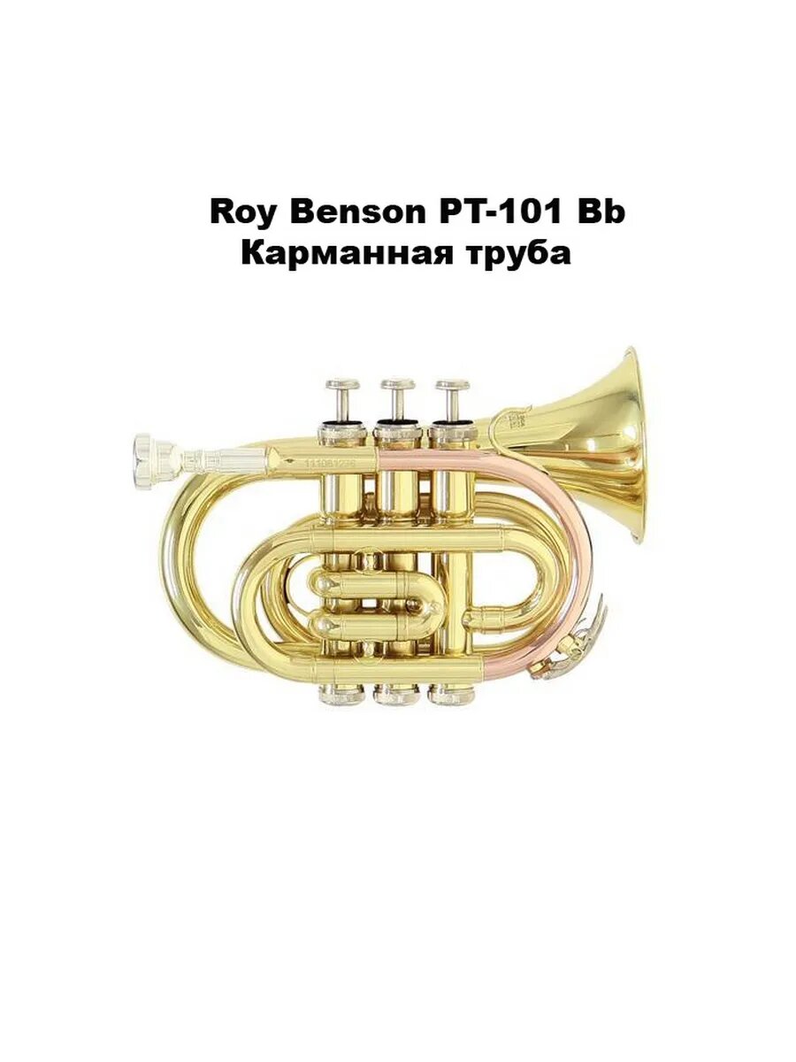 Roy Benson PT-101 Bb Карманная труба