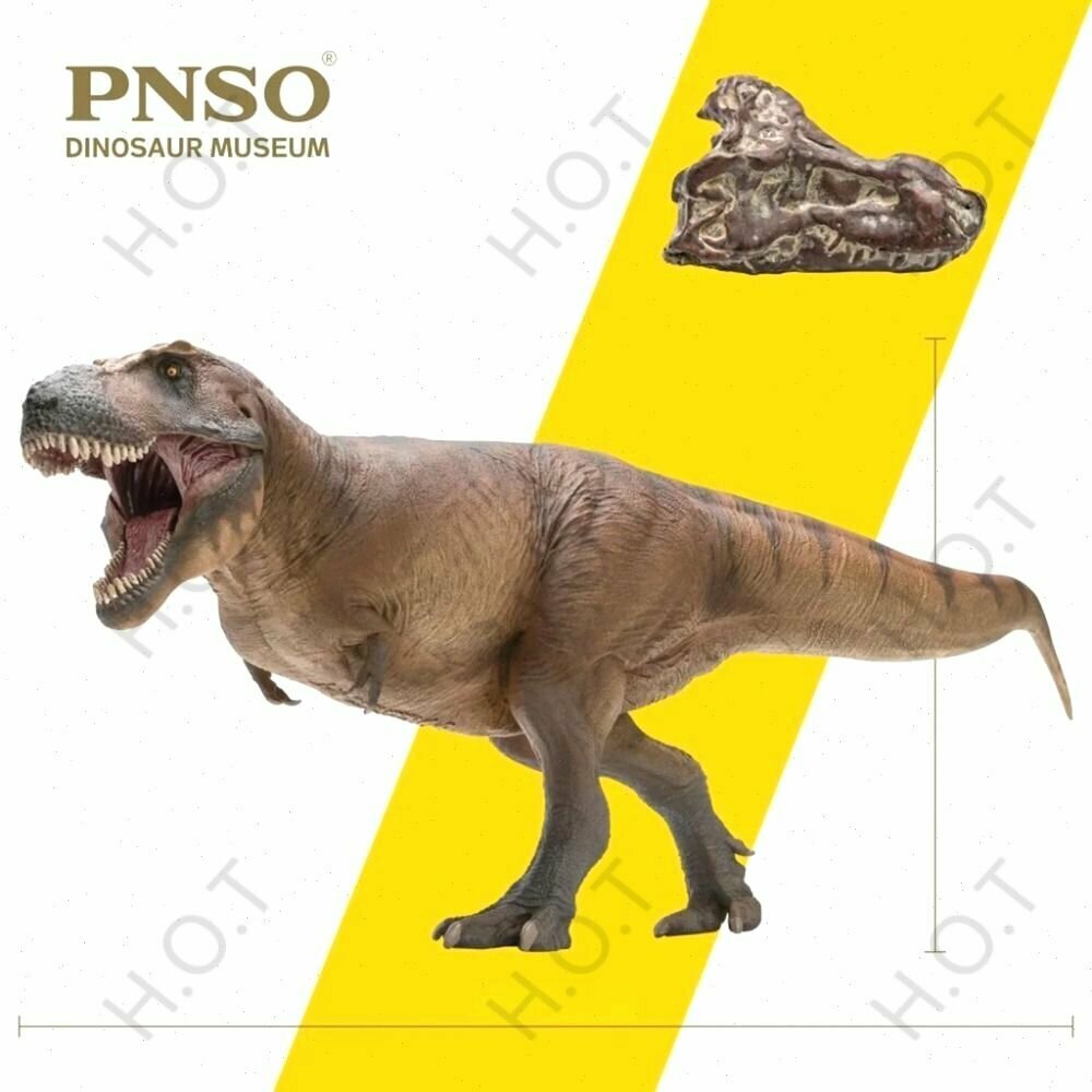 PNSO 1/35 Tyrannosaurus Rex Cameron Model Prehistoric Animal Детский Подарок На День Рождения