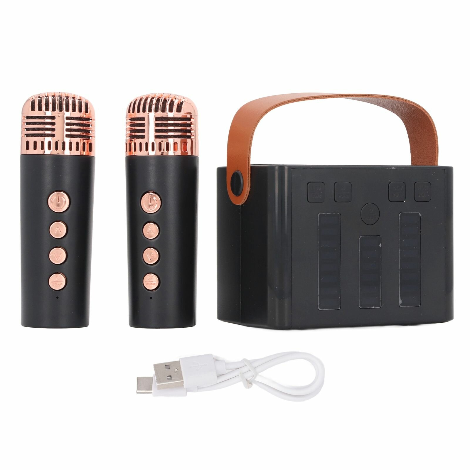 Портативный Bluetooth-динамик с двумя микрофонами, домашний караоке-аппарат, караоке-микрофоны, акустическая система, черный цвет