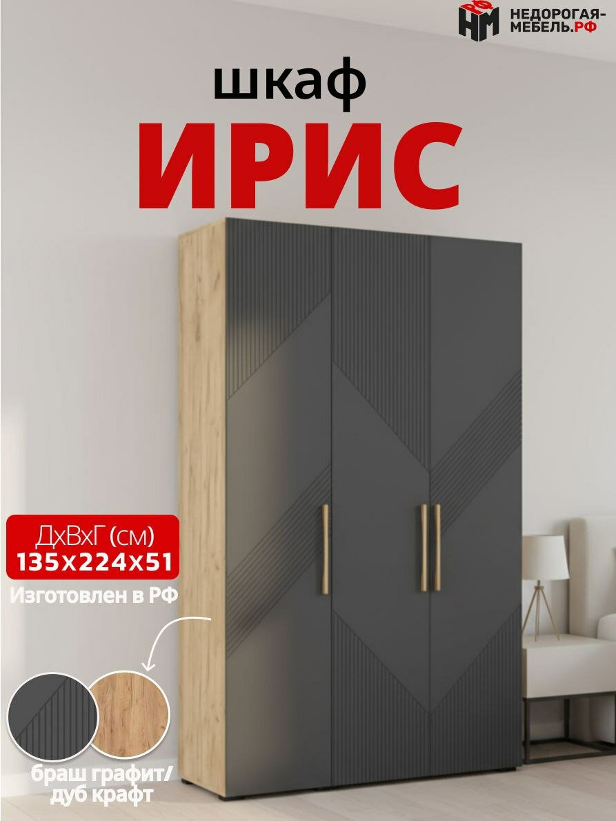 Шкаф распашной Ирис, для одежды, 3-створчатый, 135 x 223,6 x 50,6 см, Дуб крафт/Графит