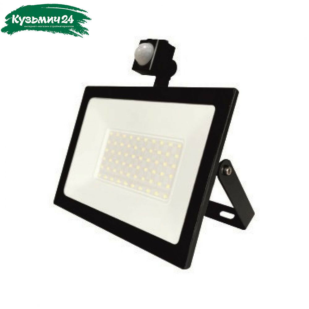 Прожектор светодиодный LEEK LE LED FL IR BLACK 50 Вт с датчиком движения