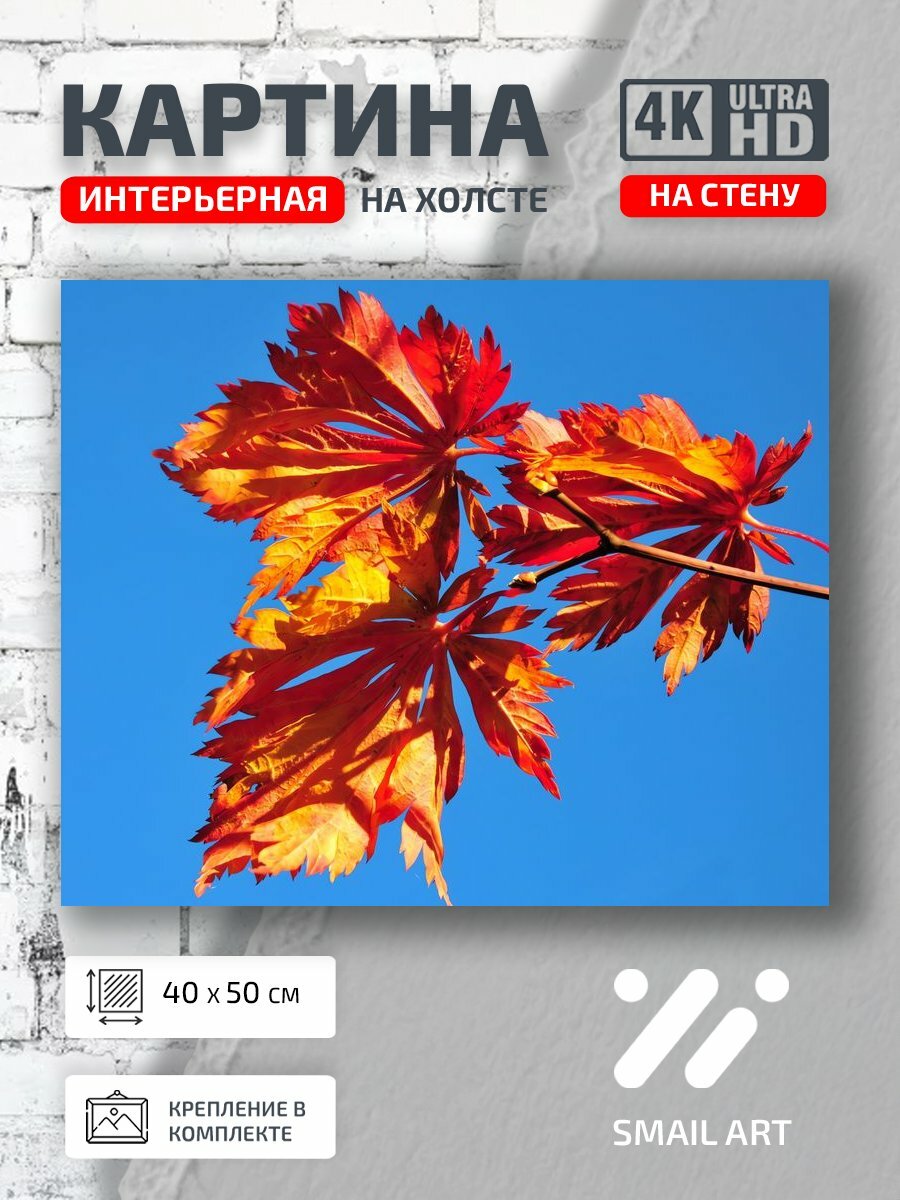 Картина на холсте интерьерная 40 на 50 на стену Ветке Landscape для кабинета пейзаж декор