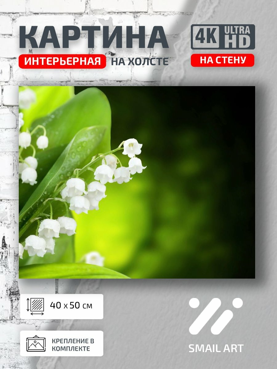 Картина на холсте интерьерная 40 на 50 на стену Ландыши Mood для студии атмосфера интерьер