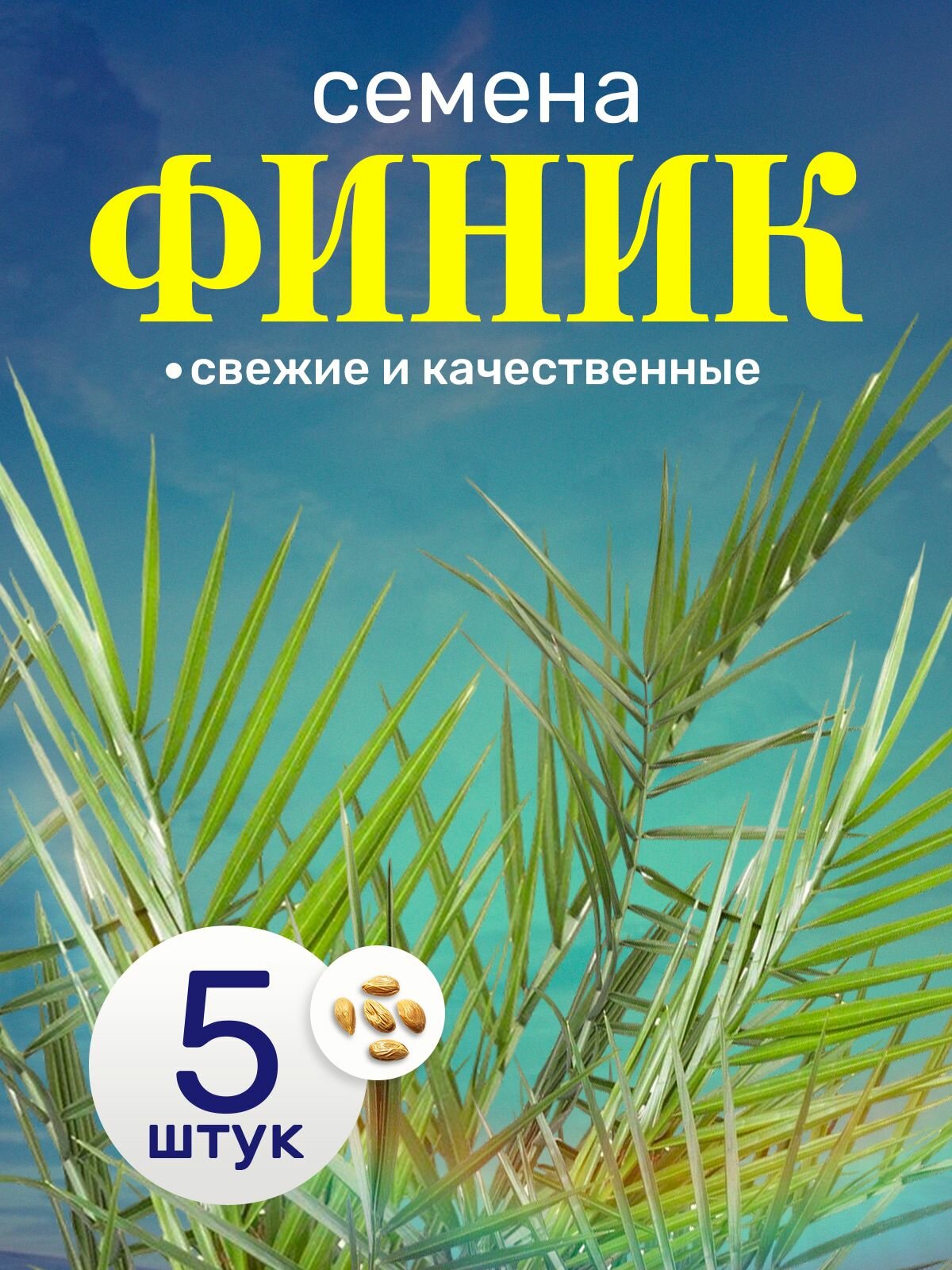 Семена финикового дерева для выращивания