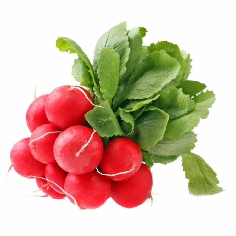 Коллекционные семена редиса Велла F1