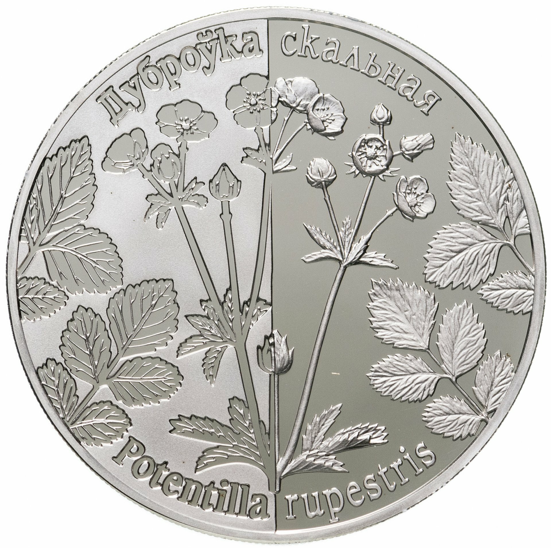 Беларусь 1 рубль 2017 "Возрожденные растения - Лапчатка скальная", Мельхиор медь-никель, в сохранности PL