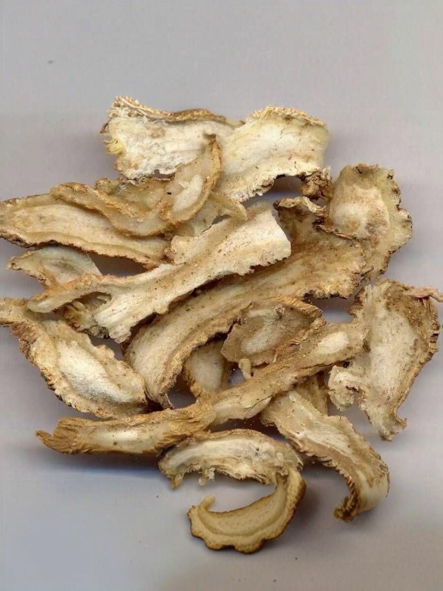 Сушеный ломтик корня дягиля китайского ( Dang Gui ) Angelica sinensis