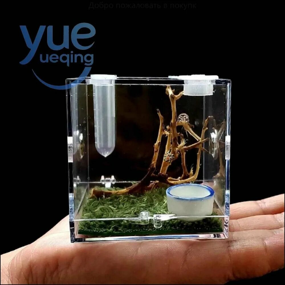 Вольер эксклюзивный для древесных тарантулов с комплектом щипцовкапельниц, террариум для содержания улиток и сверчков