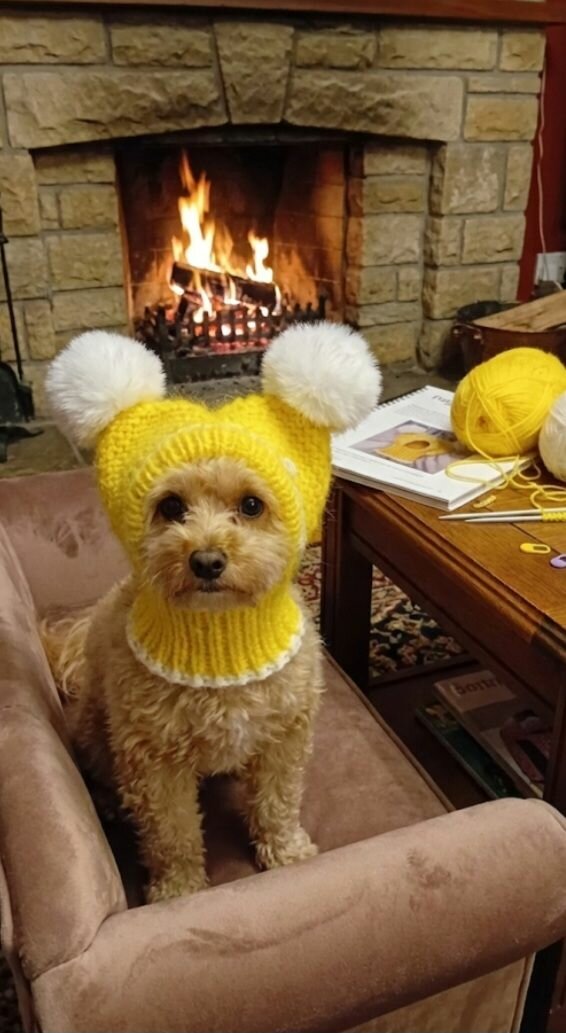 Шапочка для собаки, 100% ручная работа, из пряжи Пух норки, жёлтая, украшена помпончиками