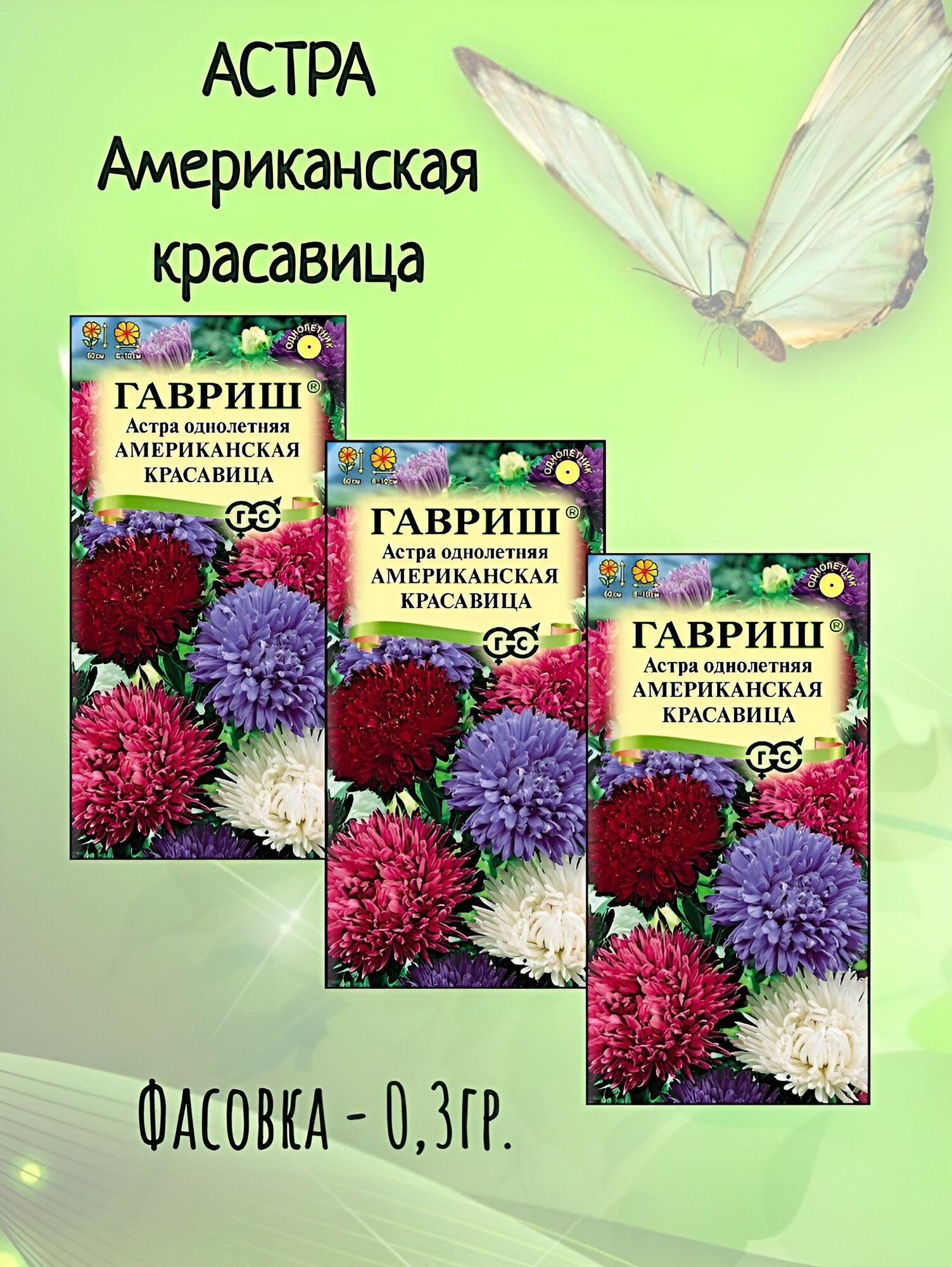 Семена Астра — фото 1