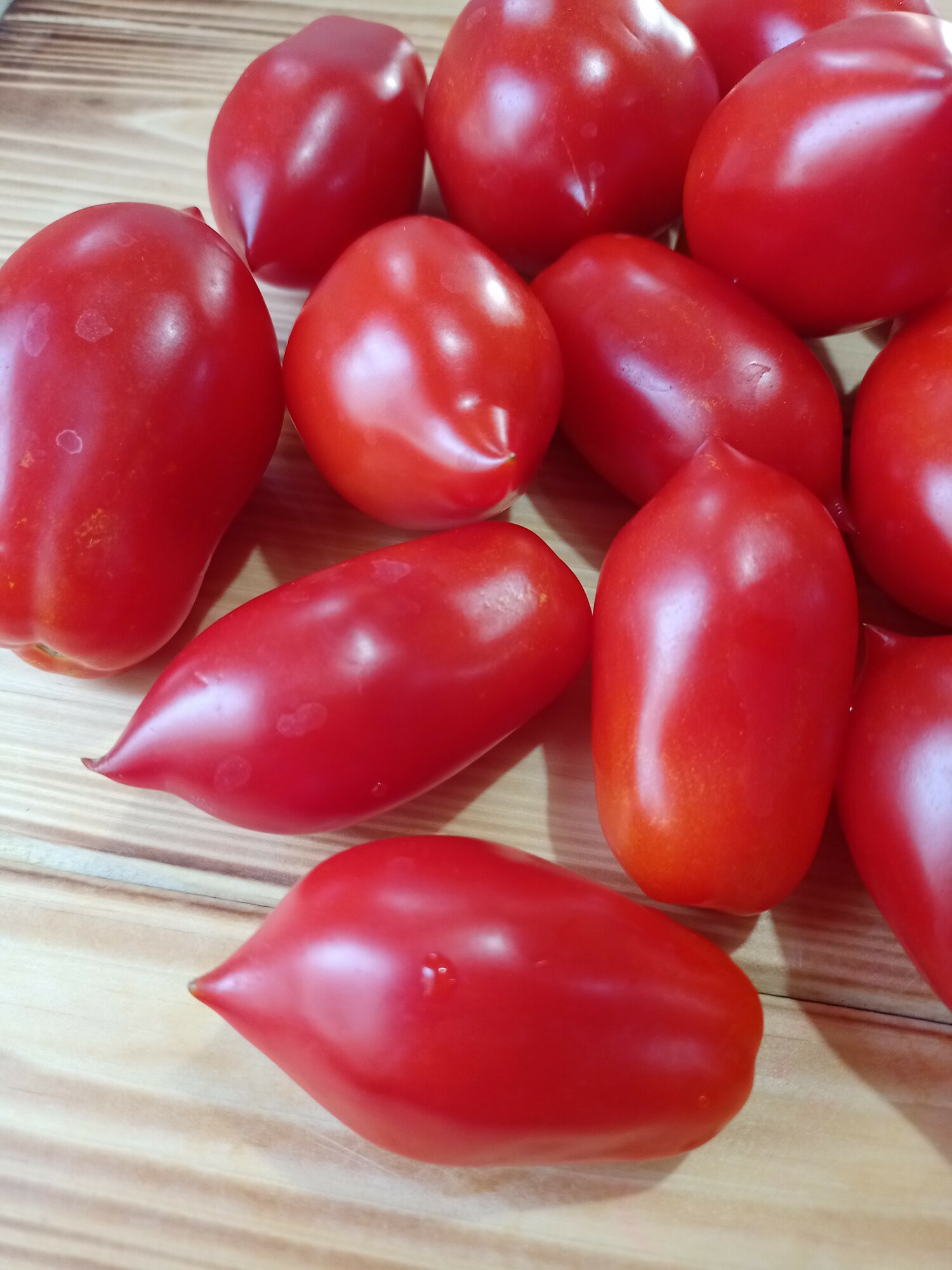 Томат"Нова из Салерно". Семена томата 10 штук. Коллекционный сорт.