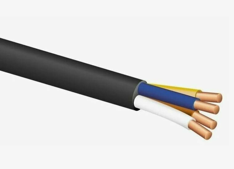 Силовой кабель ВВГнгLS 1х4 ГОСТ 0,66кВ/ 5 м/ КЗ