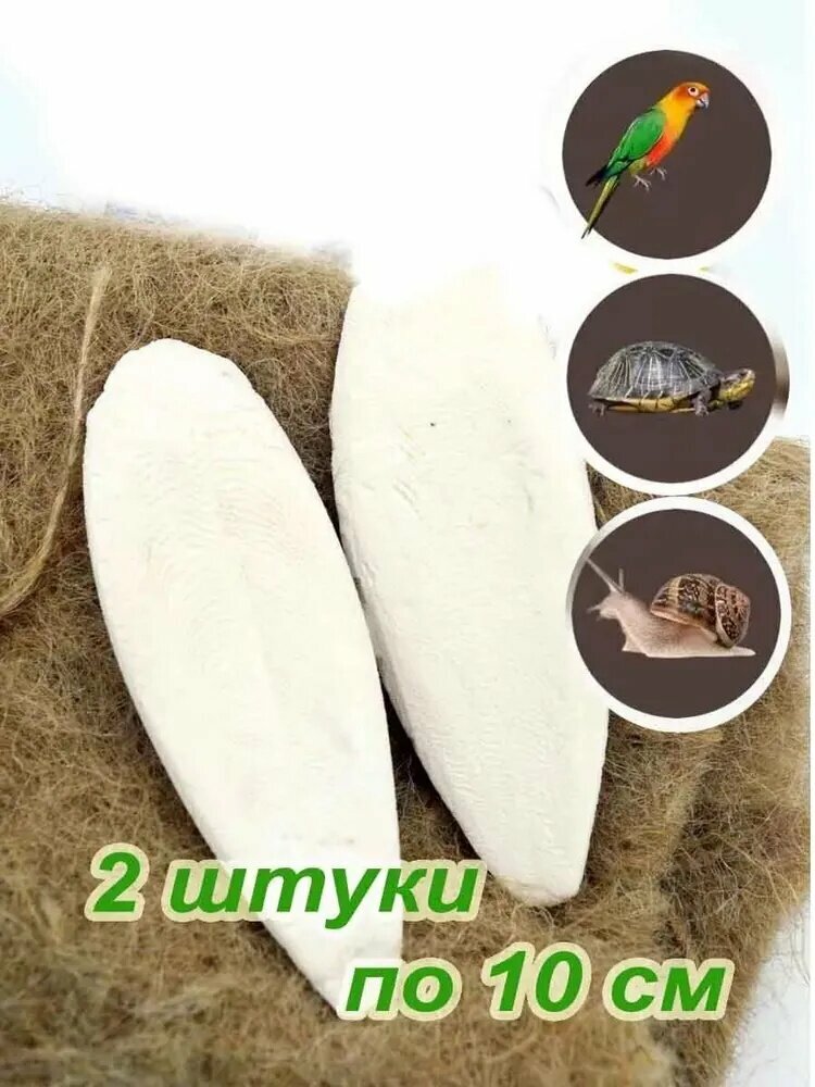 Палочки из зубов каракатицы, попугая, птицы, улитки, 10-12 см, 20 упаковка