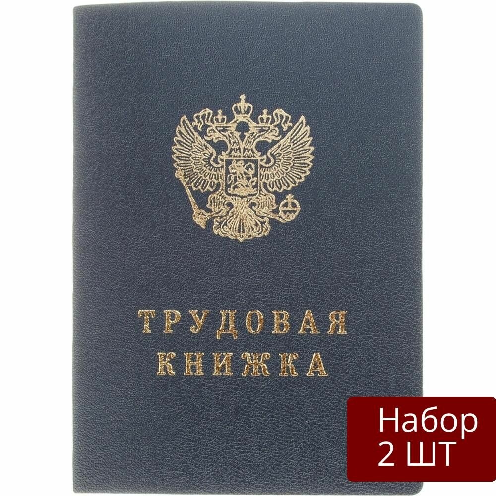 Набор из 2 шт Трудовая книжка Гознак Бланк, новый 2023 год