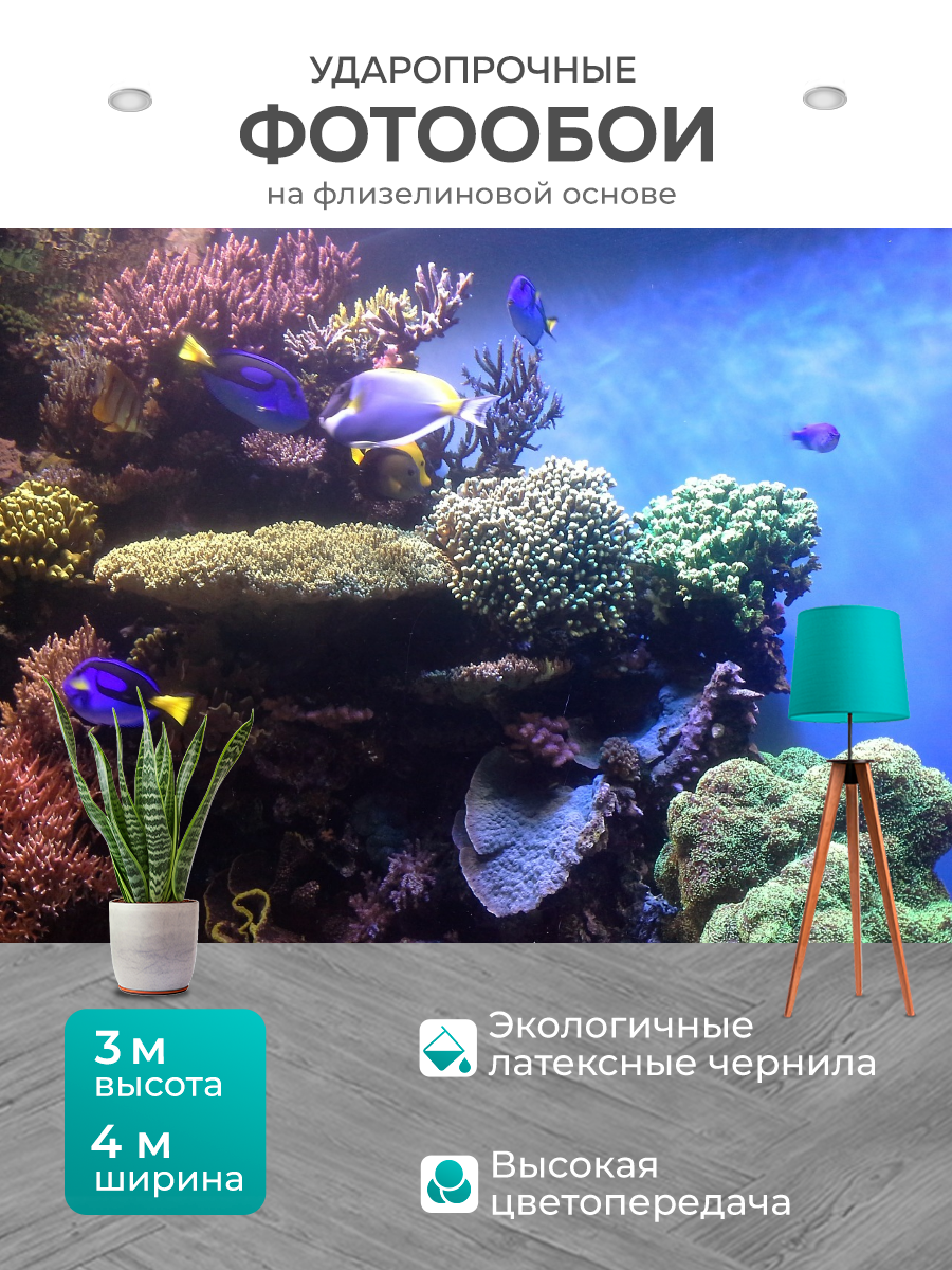 Фотообои моющиеся ударопрочные "Коралловый риф, кораллы, аквариум" 400x300 см. флизелиновые на стену