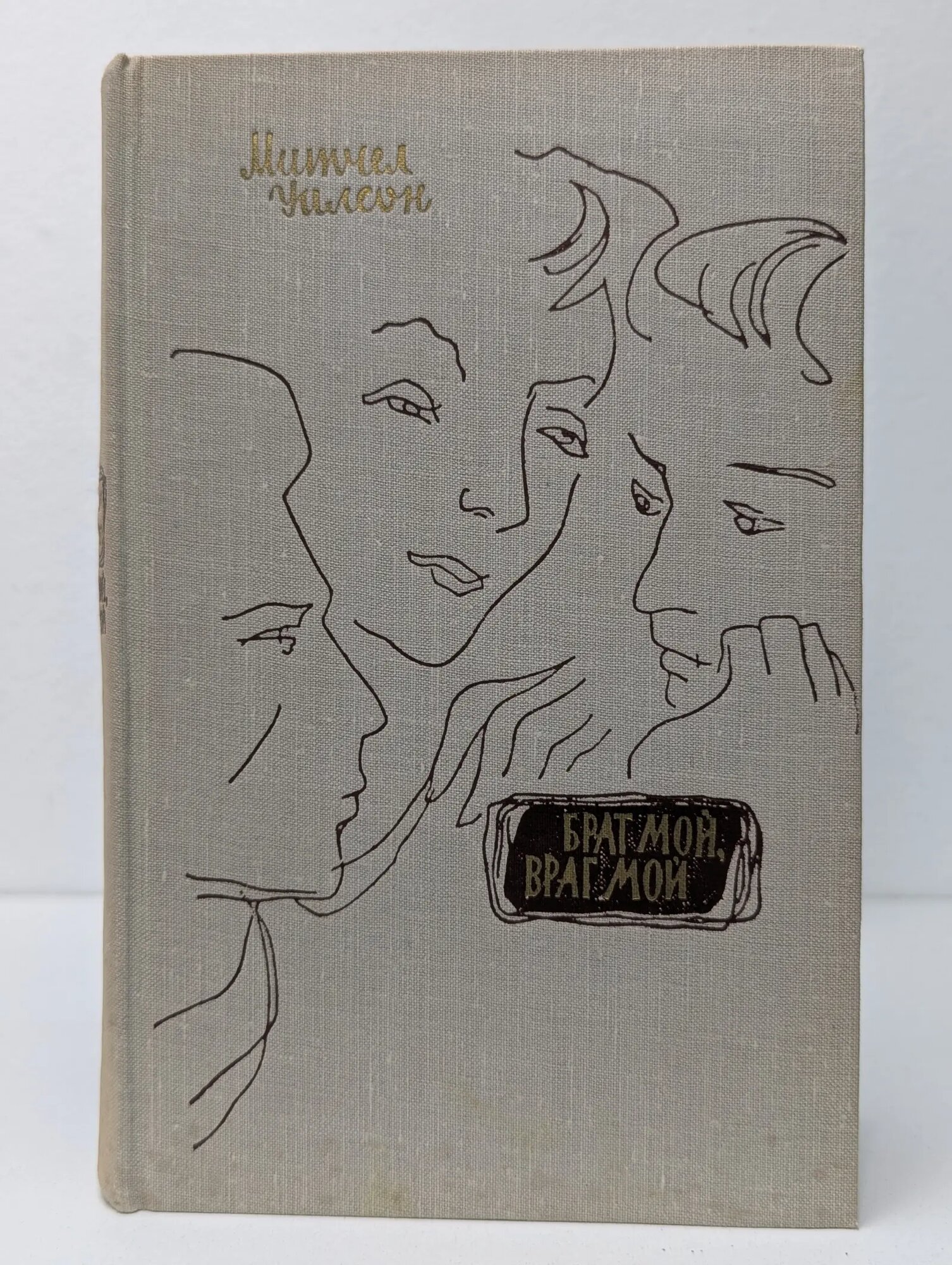 Брат мой, враг мой. Книга 1 Уилсон Митчел 1964