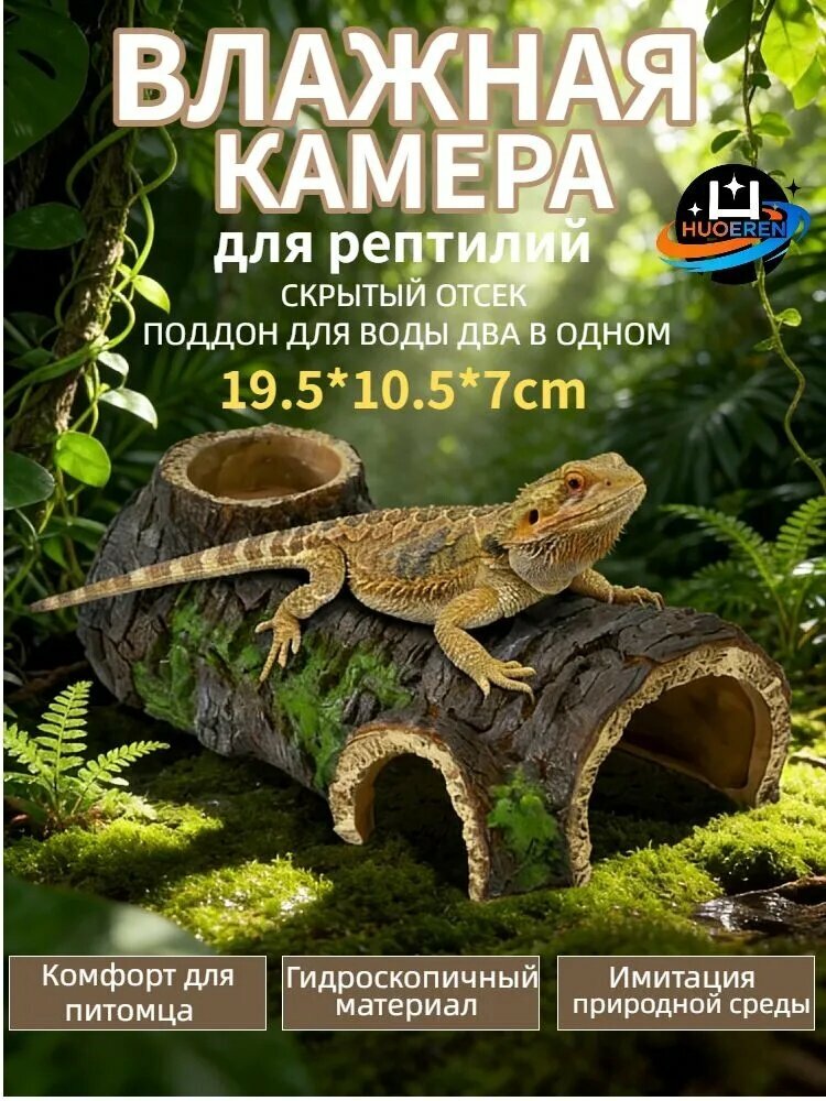Влажная камера для рептилий /укрытие для рептилий, декор для террариума