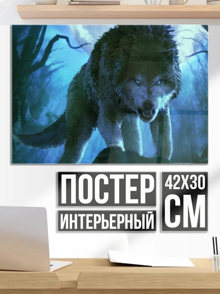 Плакат постер Волк в лесу