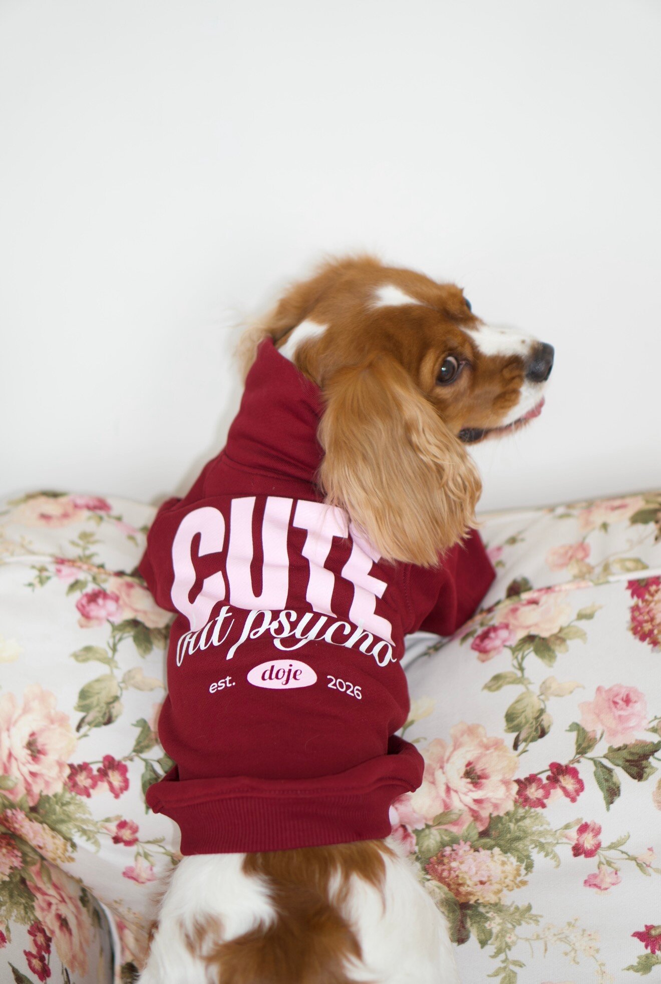 Свитшот для собак и кошек doje.pets "CUTE BUT PSYCHO", толстовка из футера, хлопок 100%, с принтом, винный, размер XS