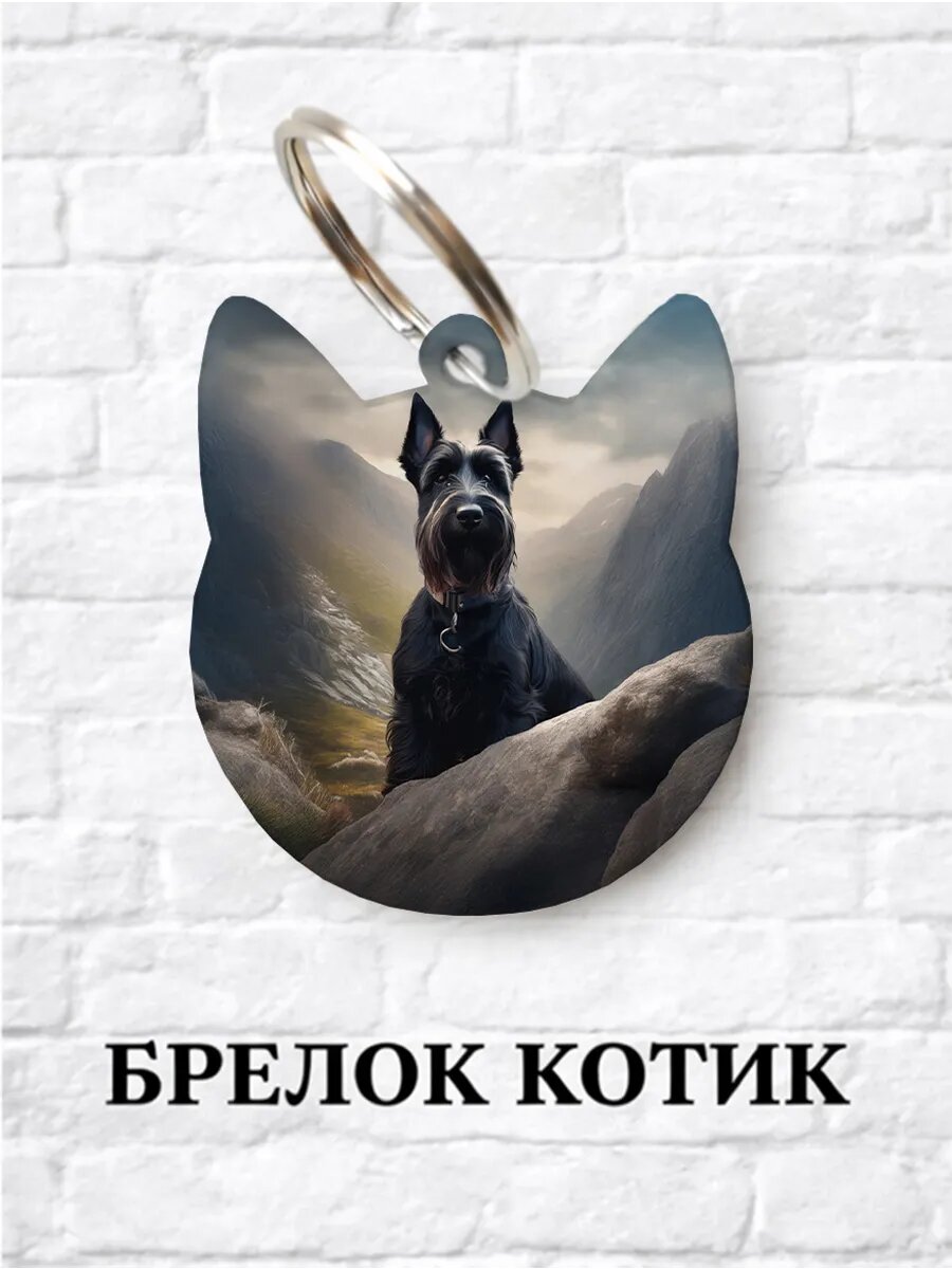 Брелок ZHENYA CLOUD