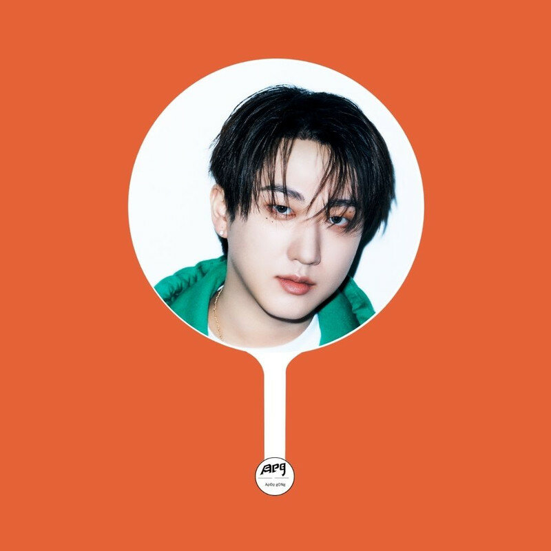 Stray Kids ApopGong (THIS & THAT) эксклюзивная подборка фотографий, версия A Changbin