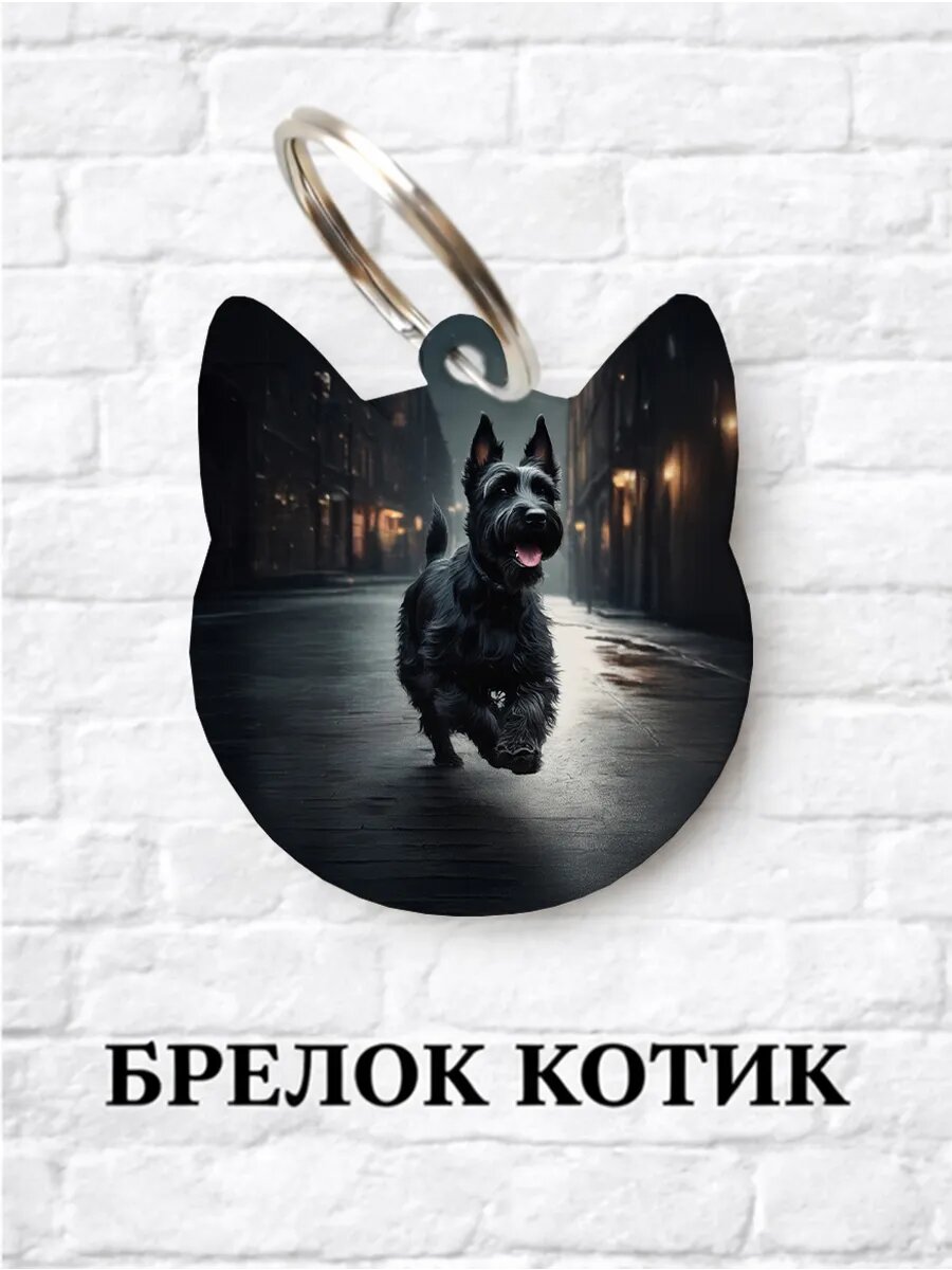 Брелок ZHENYA CLOUD