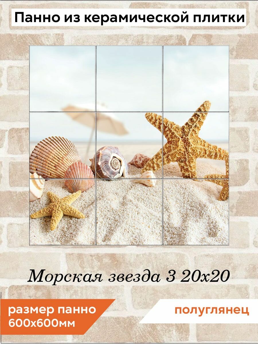 Панно из керамической плитки Fres-co "Морская звезда 3 20х20" керамическое, декоративное, матовое