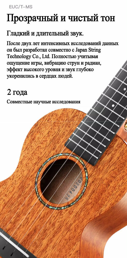 Струнный инструмент — фото 1