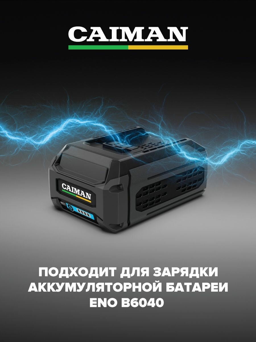 Зарядное устройство CAIMAN 01-010615-0001, для Li-ion аккумуляторов 60V, 4-8 Ач, чёрное — фото 1