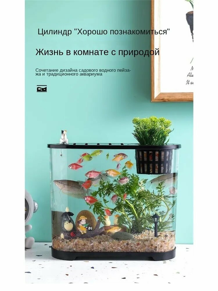 Овальный аквариум/может свободно сочетаться с ландшафтным дизайном /Это не может быть сломано