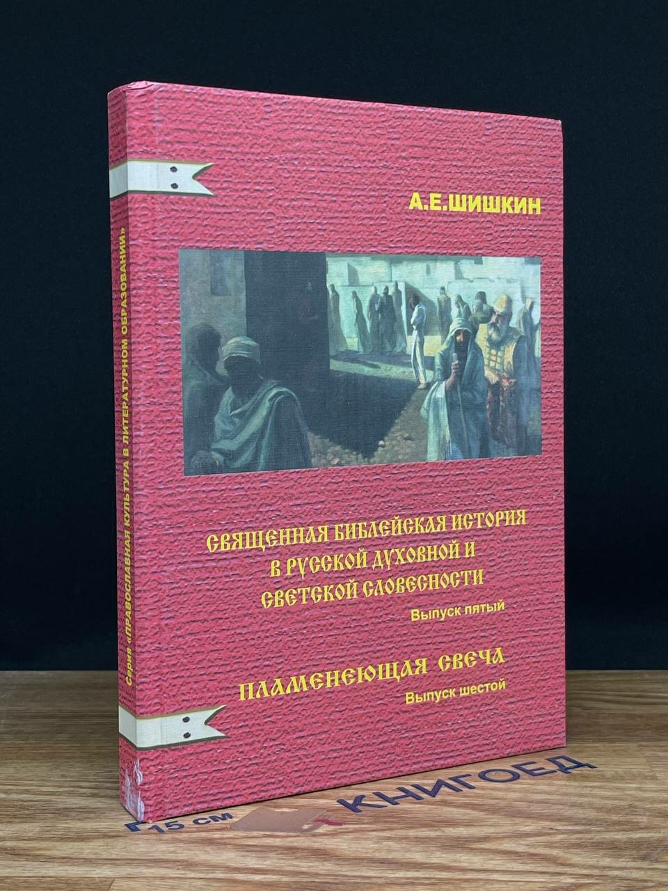 Книга. Свящ. Библейская история в рус. духов. словесности. Вып. 5-6 2007 (2044649670789)
