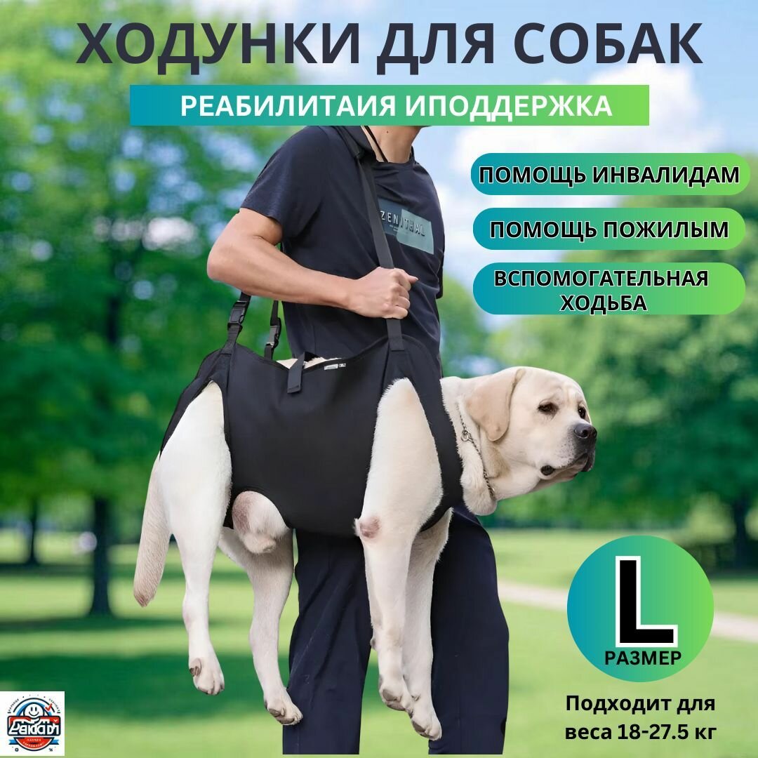 Ходунки для собак с поддержкой задних лап, размер L комфорт и надежность для пожилых и травмированных питомцев