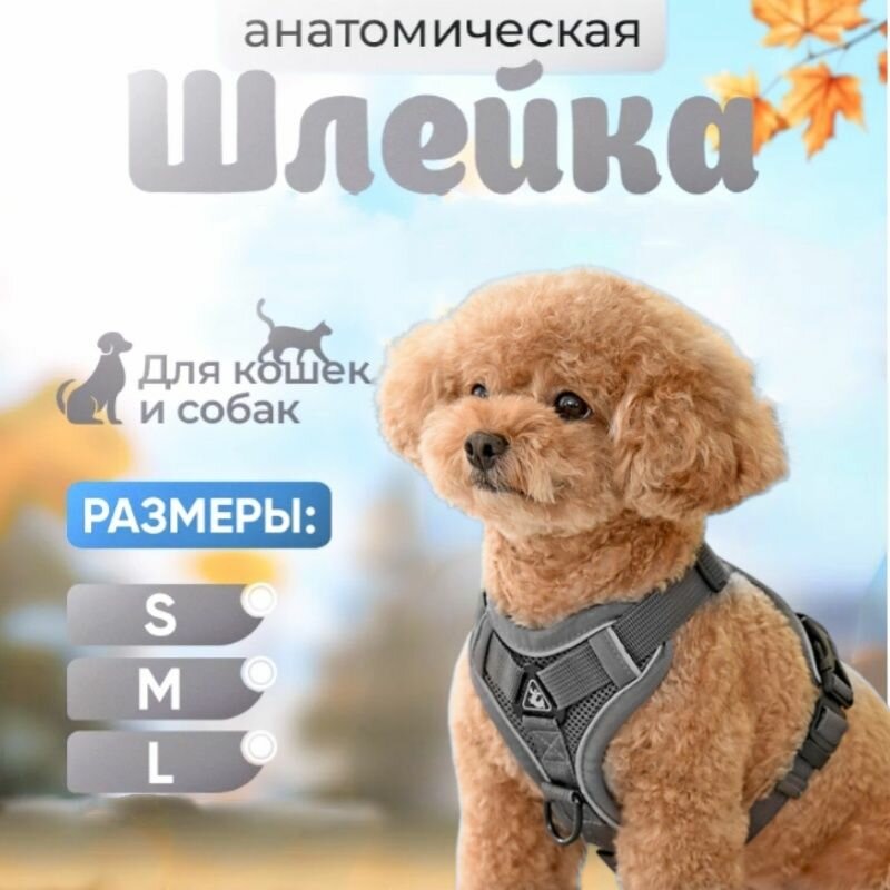 Шлейка для собак мелких пород/шлейка для кошек,1,5м, код L