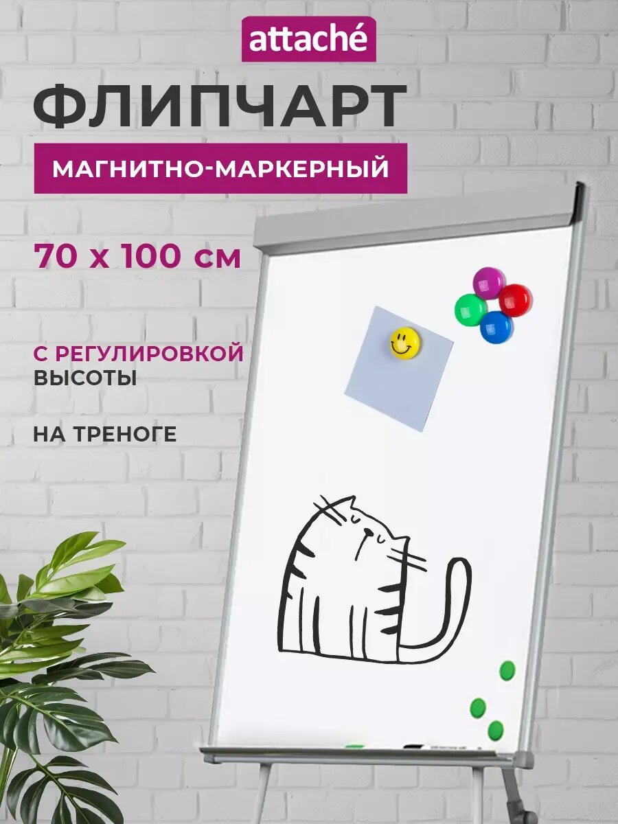 Доска магнитная флипчарт на треноге 70x100 см
