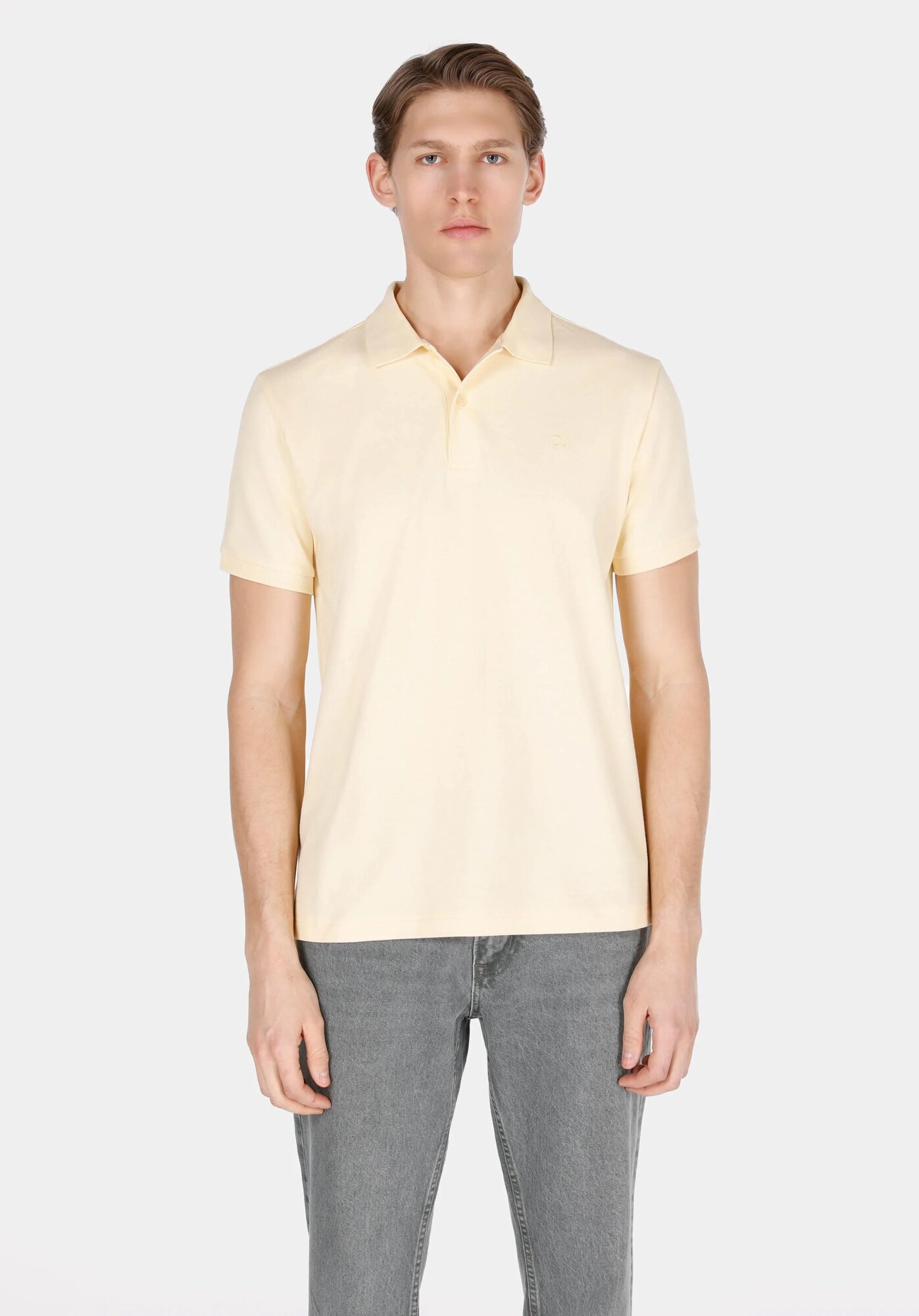 Поло Regular Fit