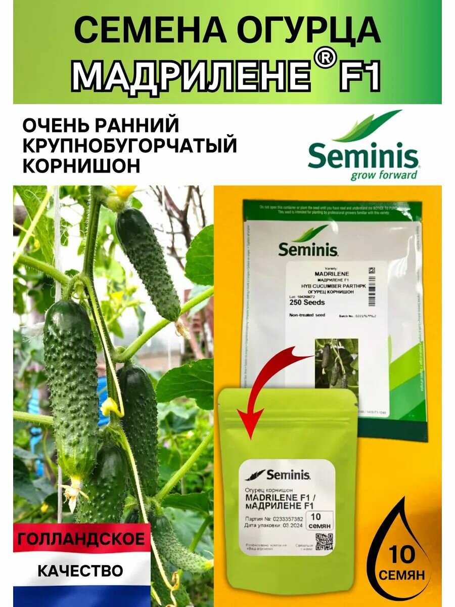 Огурец Мадрилене F1 10 семян Seminis, профессиональные семена