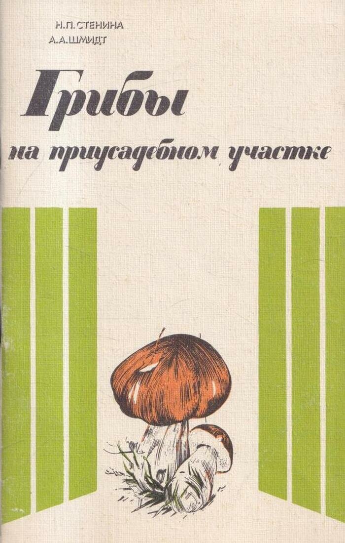 Грибы на приусадебном участке