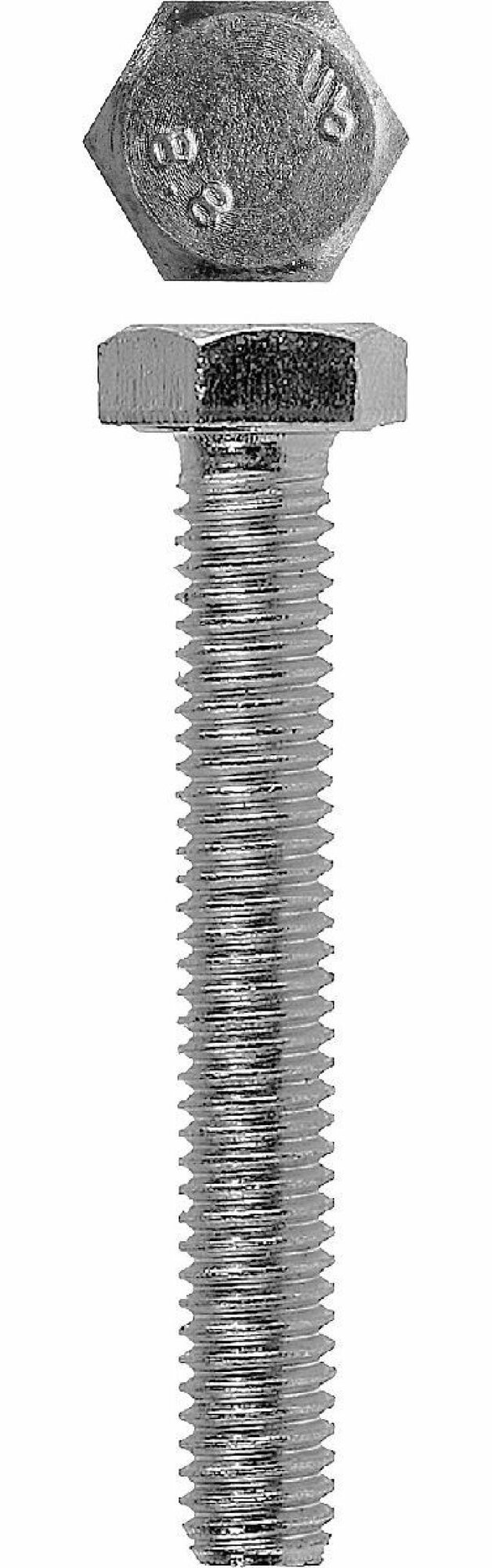Болт ЗУБР DIN 933 кл. пр. 8.8 M10 x 25 мм 5 шт. (4-303076-10-025)